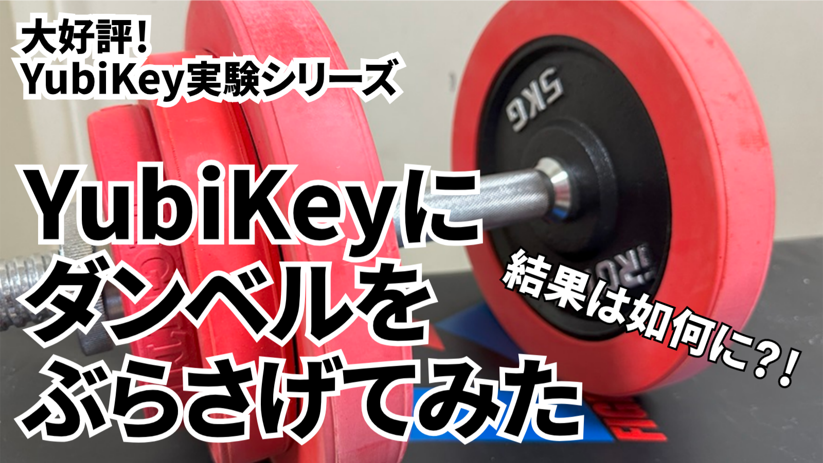 YubiKeyにダンベルぶらさげてみた – 多要素認証用セキュリティキー「YubiKey」| SCSK株式会社